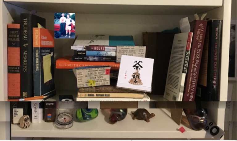 shelf-banner-composite – CogZest