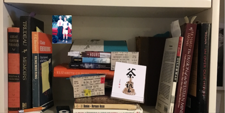 shelf-banner-new – CogZest